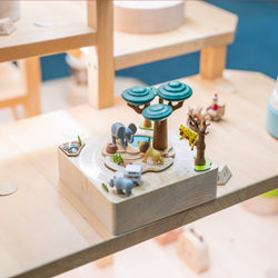 Music Box – Page 2 – Wooderful life Australia online shop